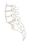 Hernia Nucleus Pulposi (Rughernia) - Osteopathie, Mesologie ...